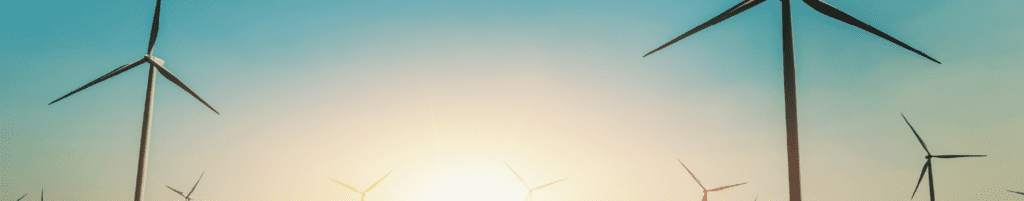 Case Studies - North East & Yorkshire Net Zero Hub